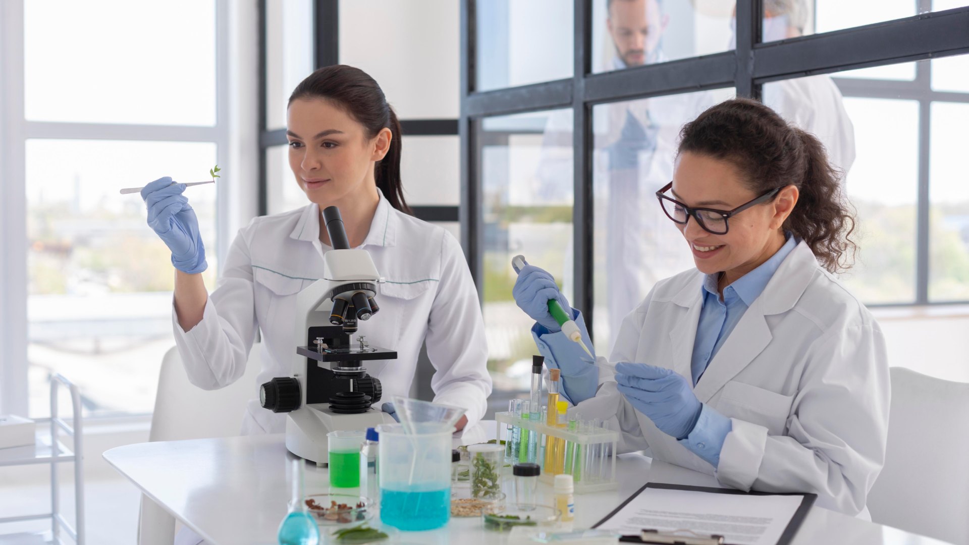 Becas Secihti: Cuáles Son las 15 Convocatorias Abiertas y Cómo Solicitar Apoyos de Secretaría de ...